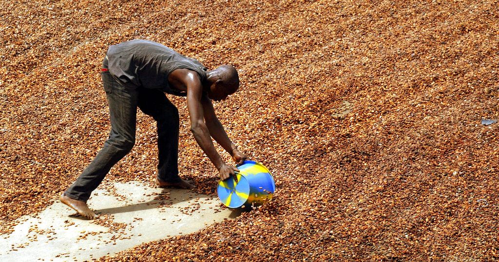 Ivory Coast traces 40% of cocoa, But EU anti-deforestation law delayed ...