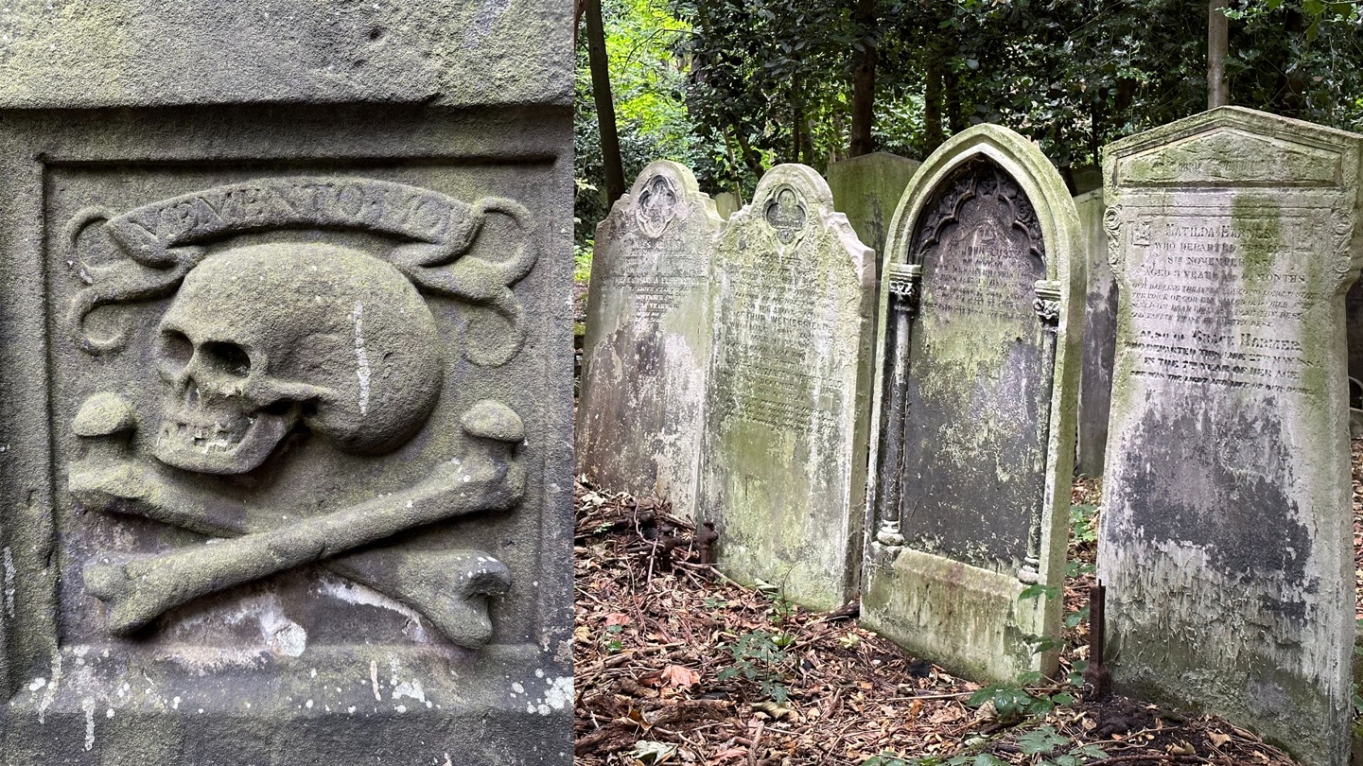 Tombstone tourism: Meet the travelling taphophiles obsessed with ...