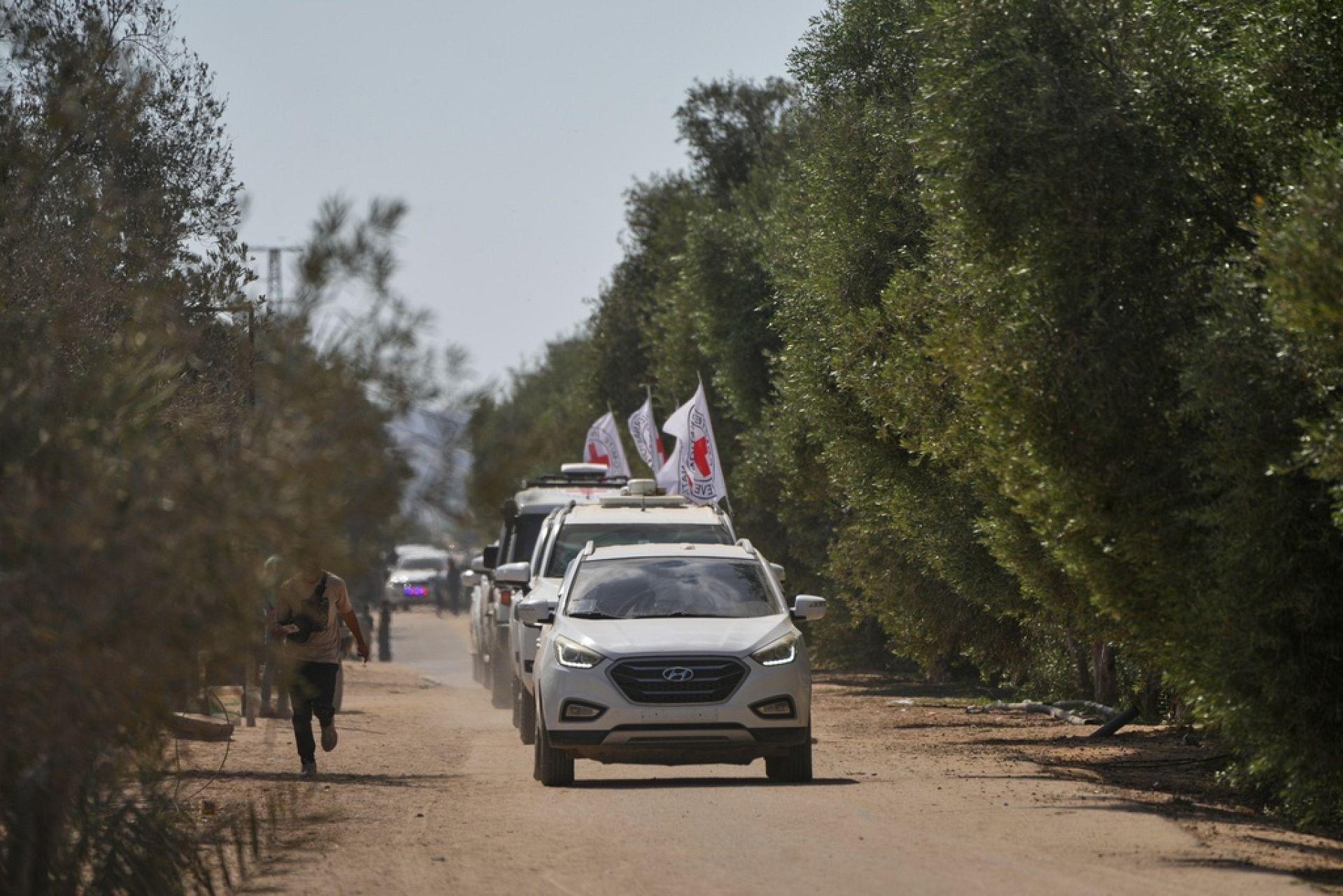 In pictures: Emotional scenes as Hamas releases all living Israeli ...