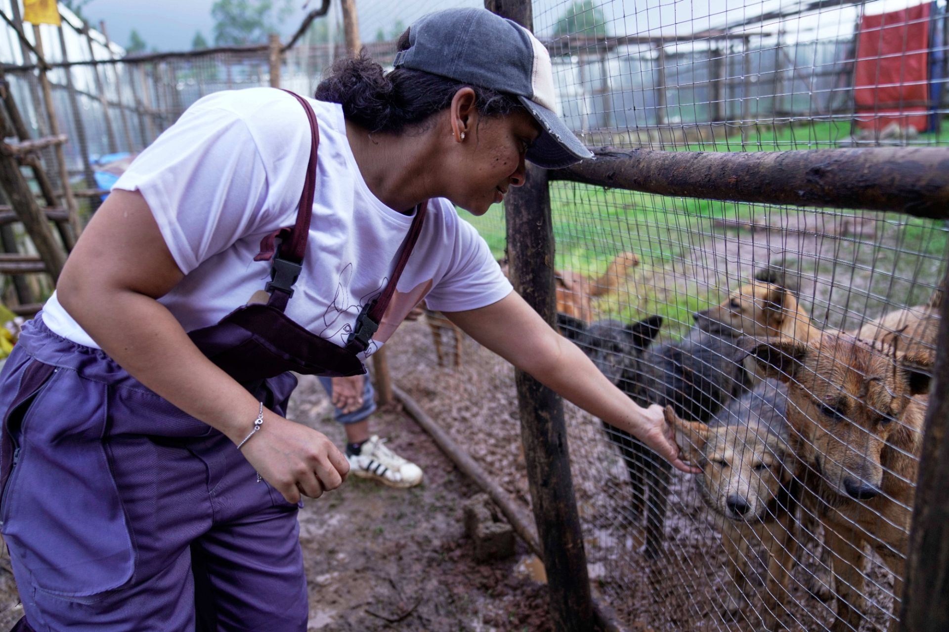 Ethiopia: One woman's mission to protect Addis Ababa's abandoned dogs ...