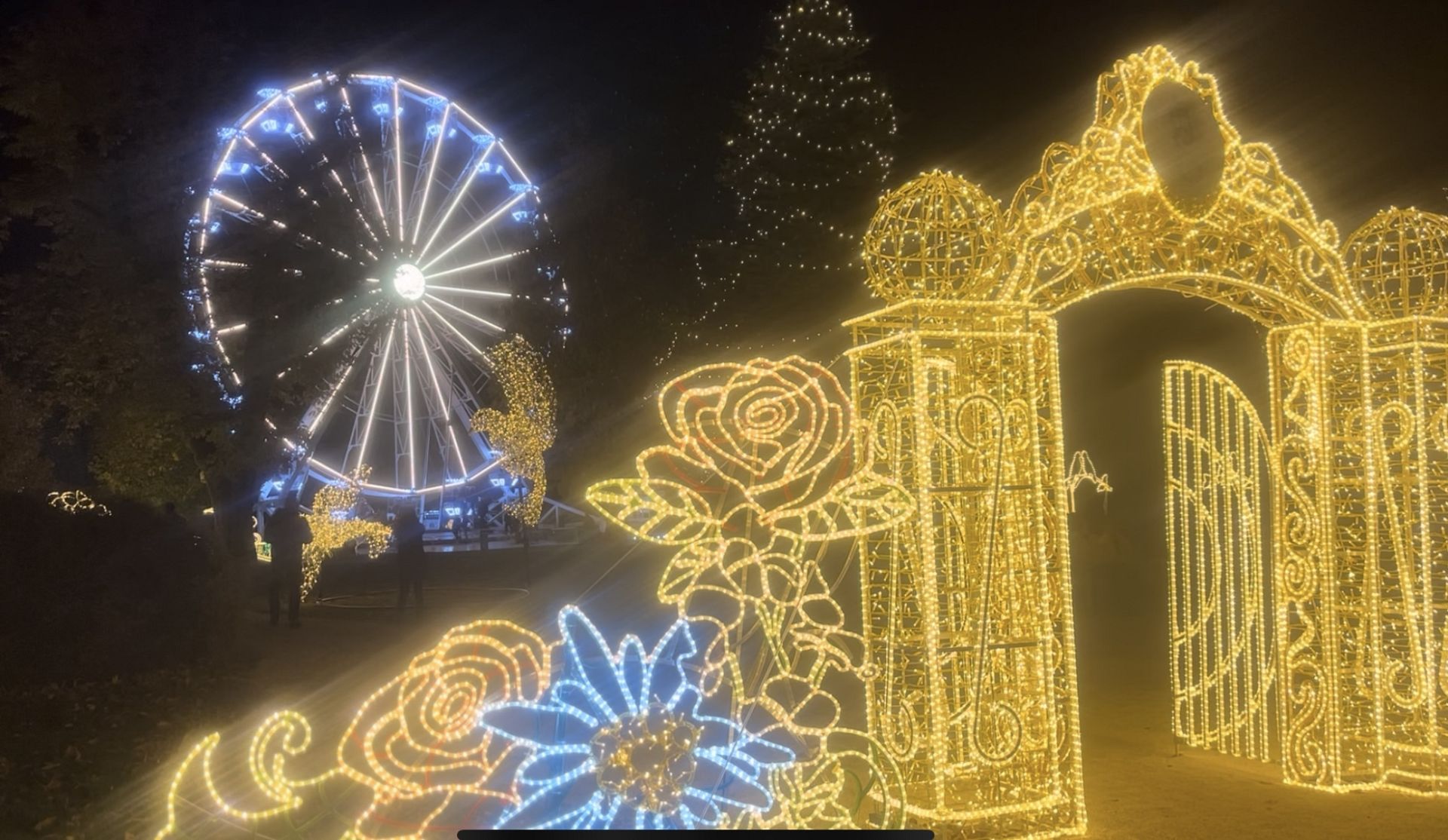En Hongrie, une promenade lumineuse fait découvrir le jardin de l ...