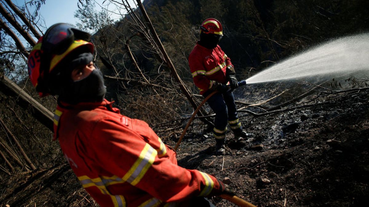 Portugal puts out Algarve fire, firefighters keep vigil | Euronews