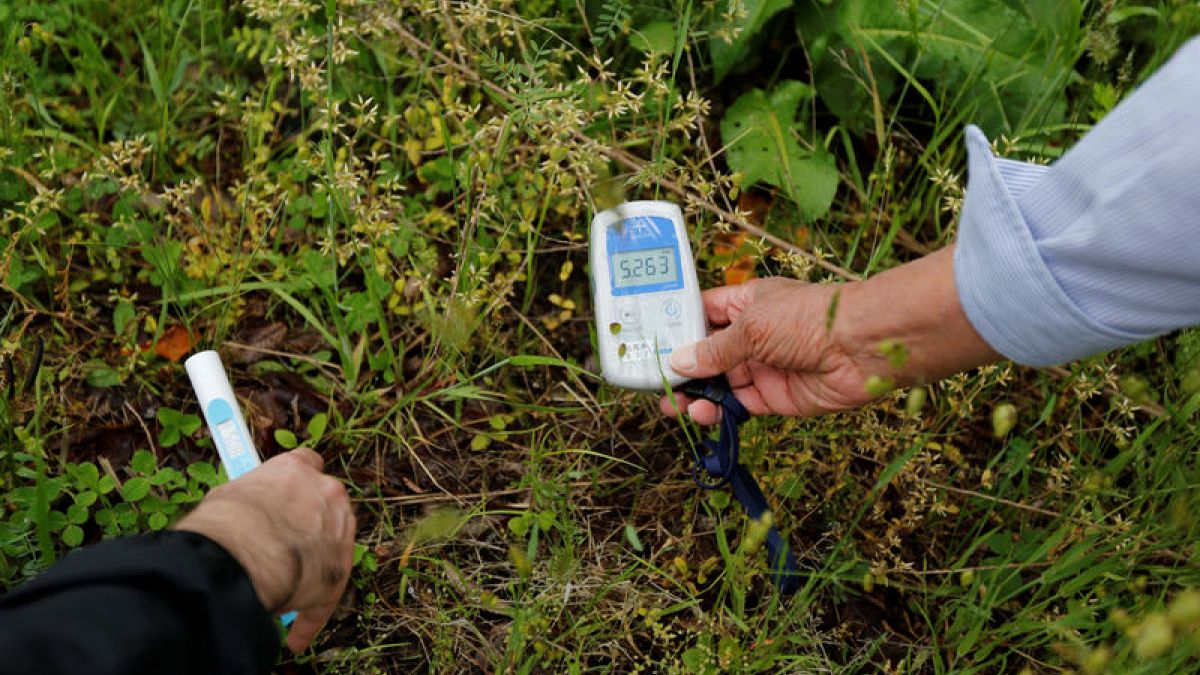 Japan acknowledges first radiation death among Fukushima workers | Euronews