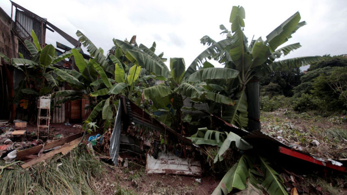 Heavy rains across Central America leave 12 dead | Euronews