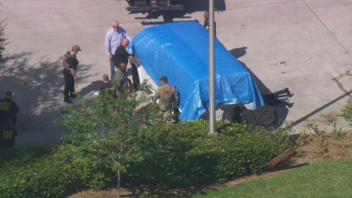 U.S. mail bomber case prompts call for better postal screening | Euronews