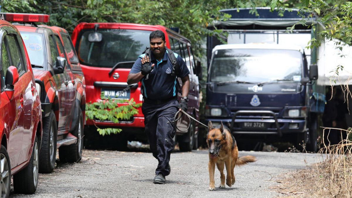 Malaysian police widen search for missing Irish girl | Euronews