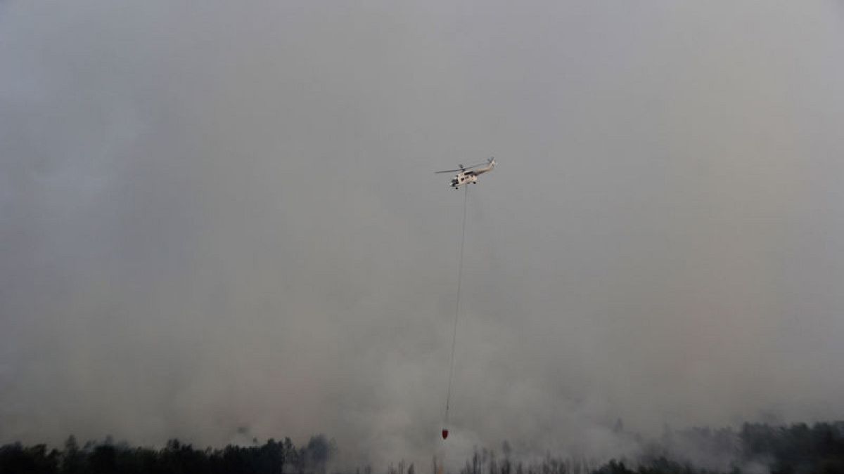 Indonesia president makes moratorium on forest clearance permanent ...