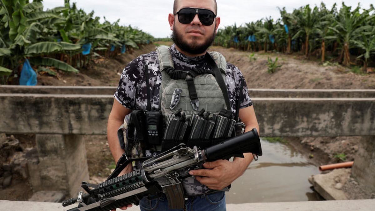 Mexico's Wild West: vigilante groups defy president to fight cartels ...