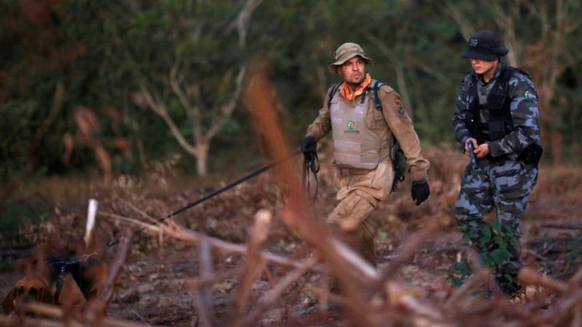 Brazilian police kill murder suspect after manhunt outside capital ...