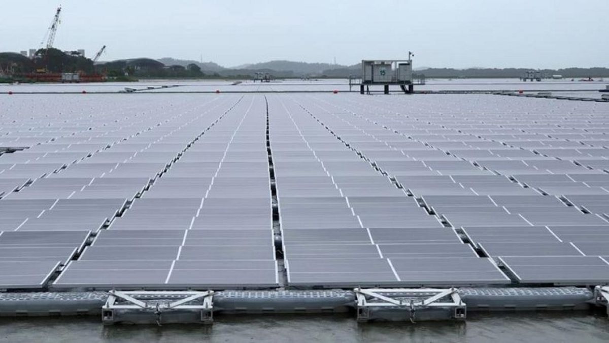 Singapore unveils one of the world's biggest floating solar panel farms ...