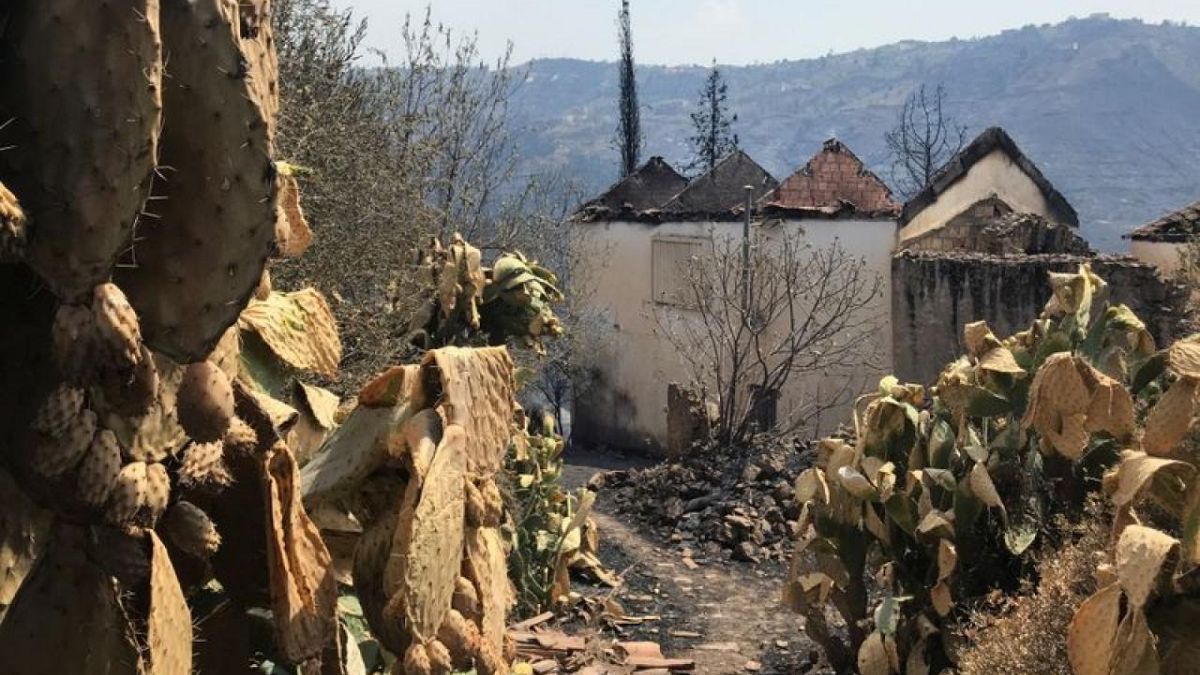 Heartbroken and homeless: Algerian villagers grapples with wildfire ...