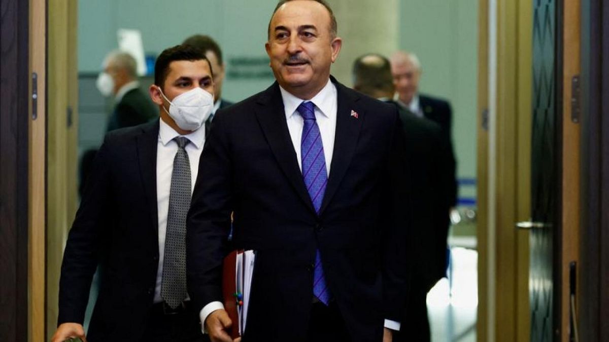 Russian oligarchs welcome in Turkey, foreign minister says | Euronews