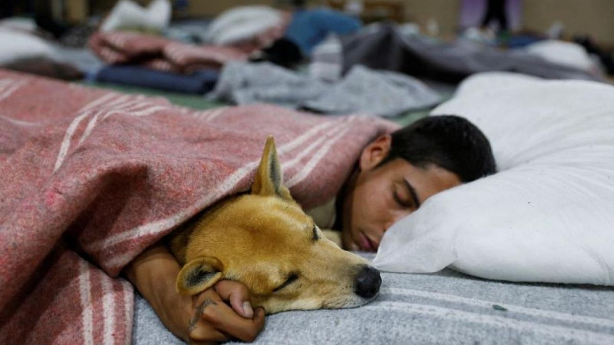 Brazilian city's homeless get incentive for going to shelter: beds for ...