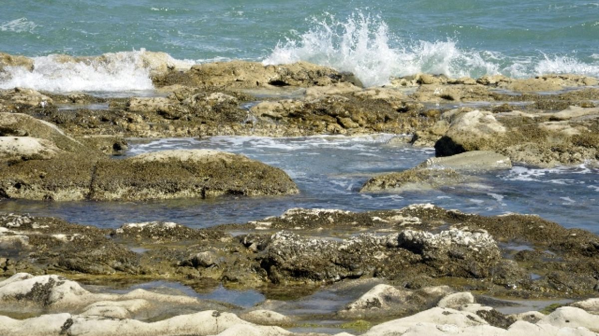 Uomo di 60 anni disperso in mare ad Ancona | Euronews