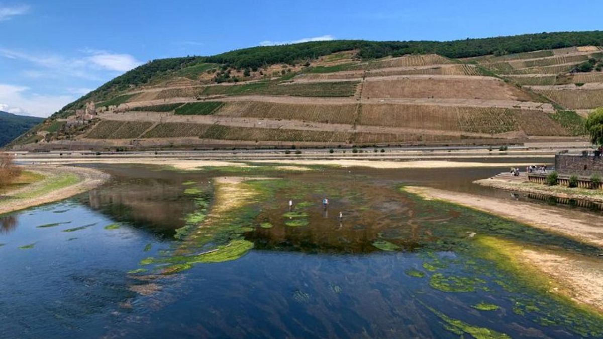 El Rin vuelve a subir en Alemania, pero se prevén nuevas bajadas | Euronews
