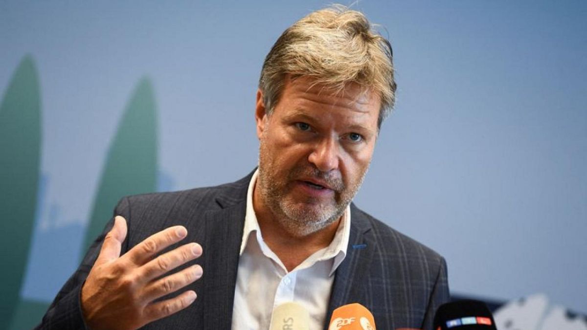 German economy minister looking at possible changes to gas levy | Euronews