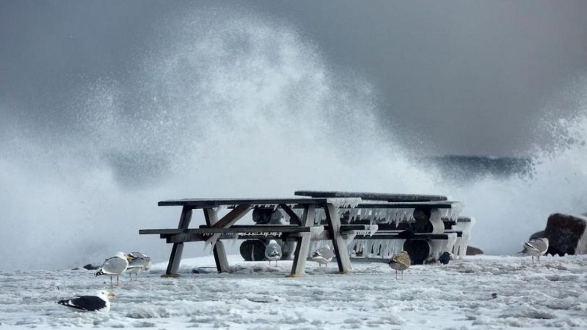 Europe's gas crisis could last several winters, Shell CEO says | Euronews