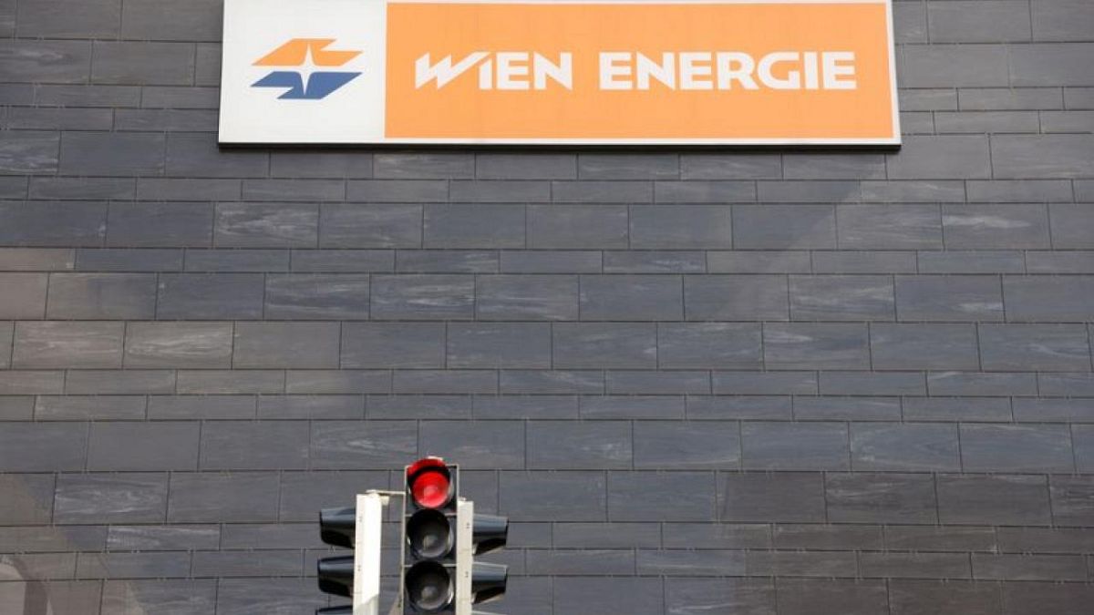Vienna power firm denies speculating in futures as it seeks state loan ...