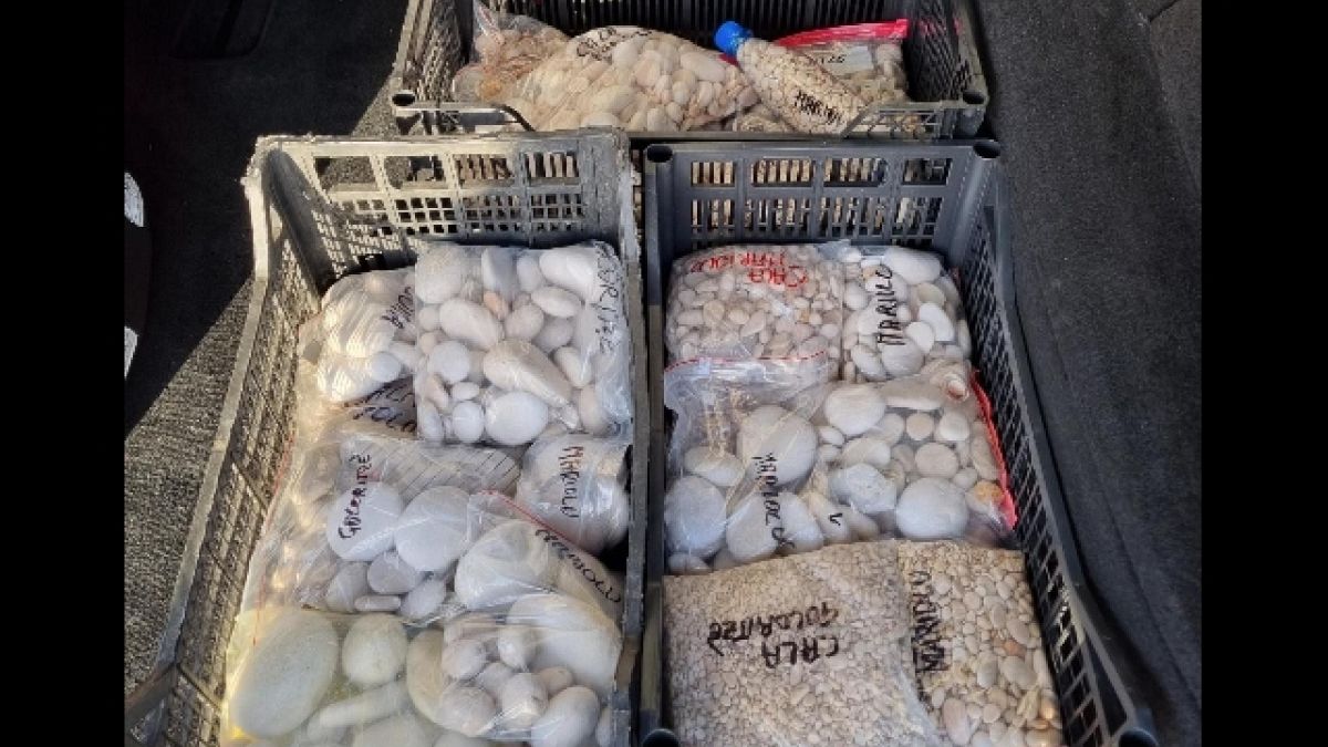 Spiagge sarde depredate, 100 kg ciottoli tornano in Ogliastra | Euronews