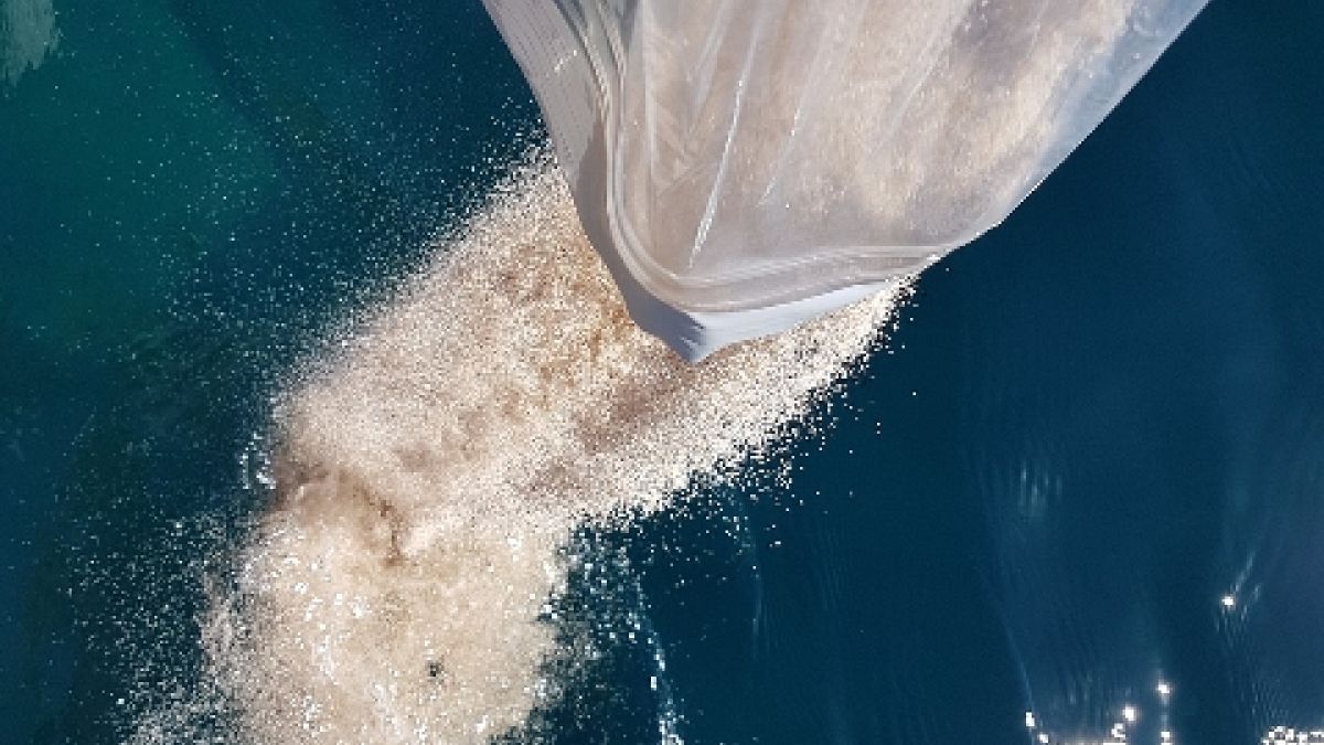 Spiagge sarde depredate: 250 kg di sabbia tornano a Chia | Euronews