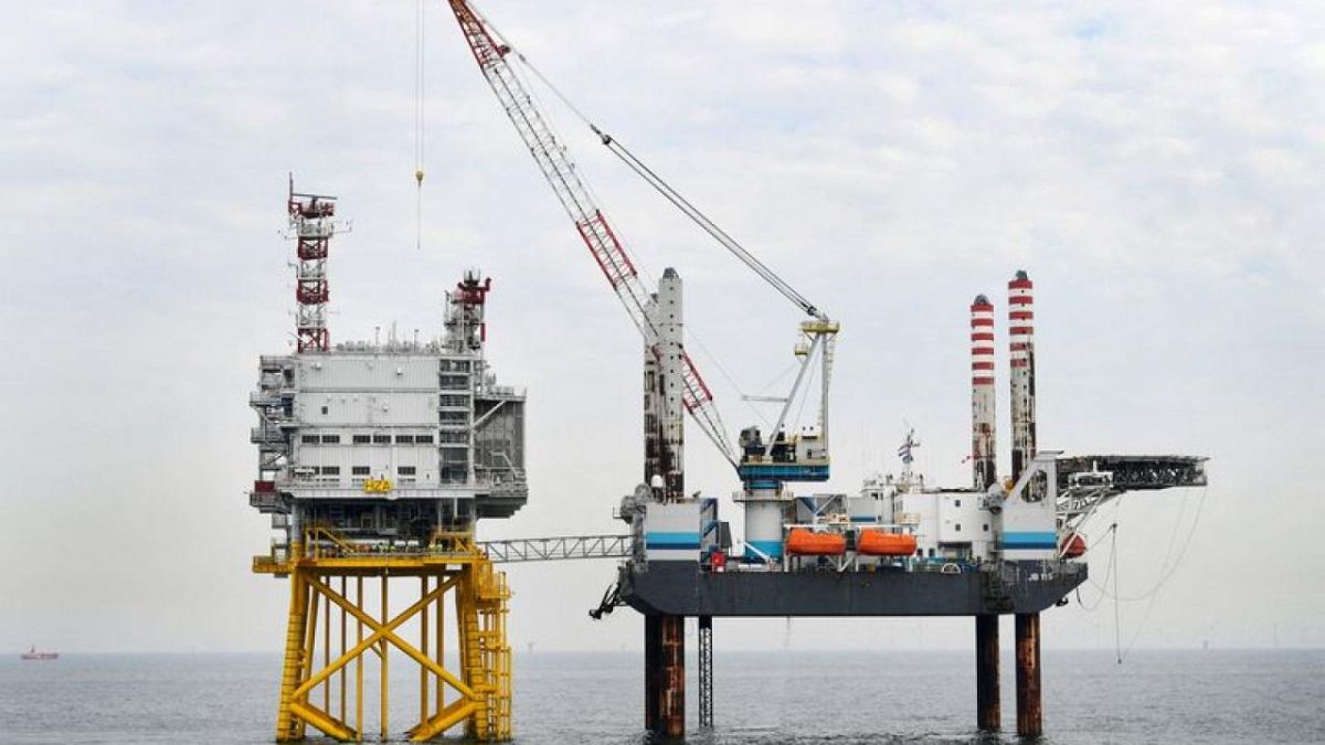 Dutch power grid operator TenneT warns of shortages by 2030 | Euronews