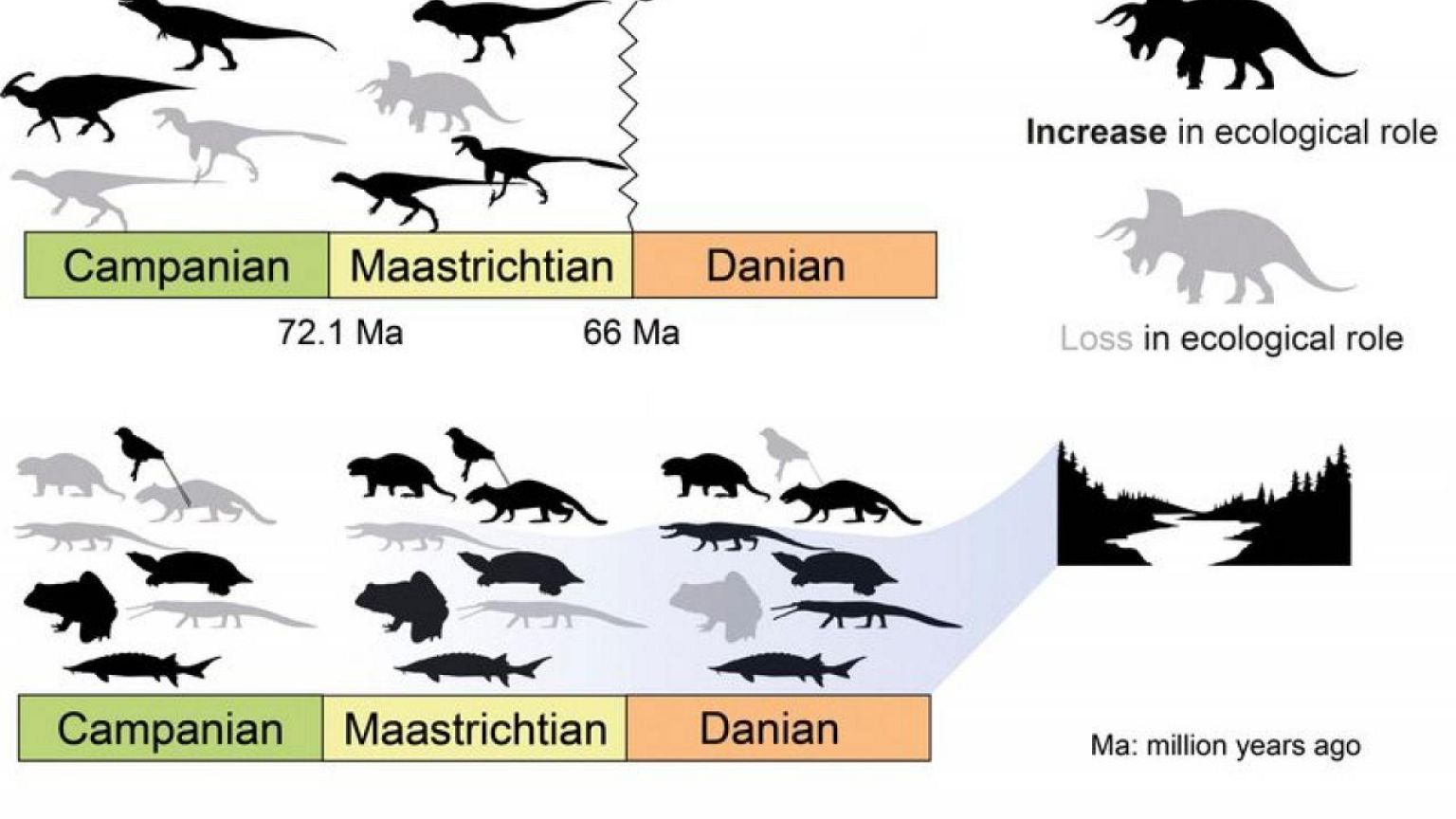 Study shows dinosaurs were 'struck down in their prime' by asteroid | Euronews