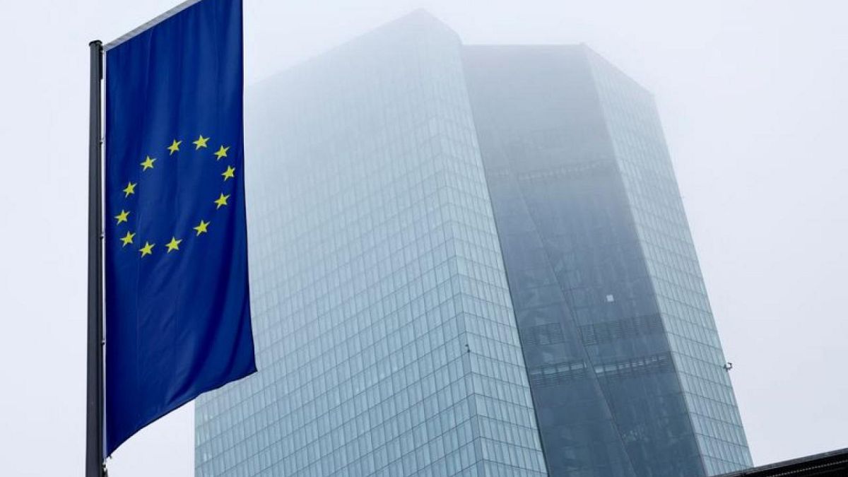 ECB needs several more significant rate hikes, Rehn says | Euronews