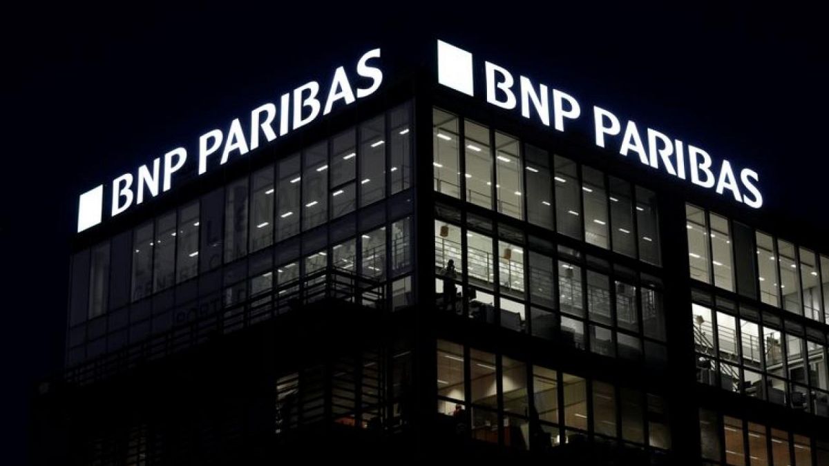 Nine global banks invest $45 million in carbon credit platform | Euronews