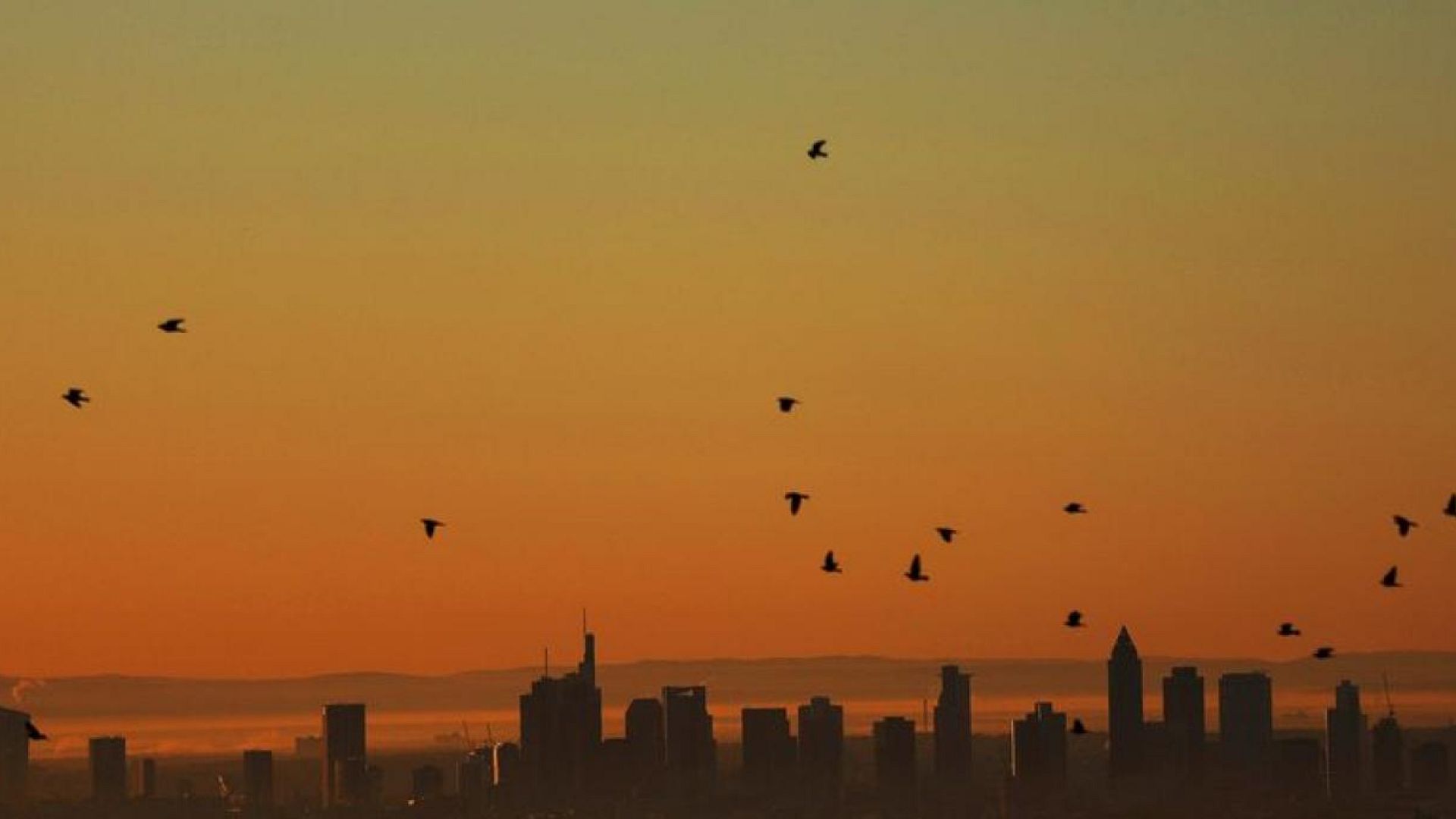 Germany's inflation probably peaked as energy prices fall - govt ...