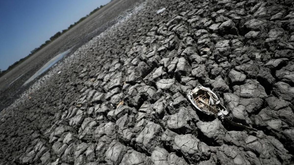 Environment risks dominate in "polycrisis" world - WEF survey | Euronews