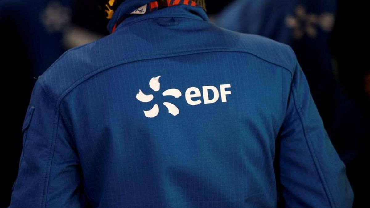 France now holds over 90% in EDF, allowing for squeeze-out, ministry ...