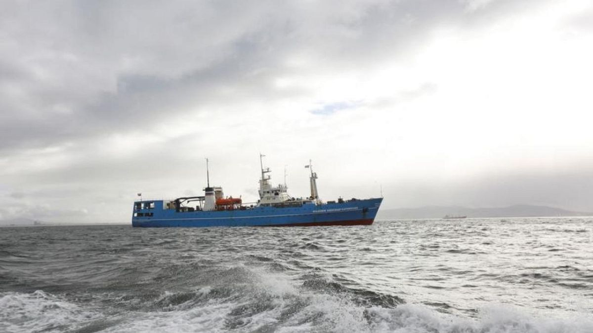 Russian Antarctic vessel docks in South Africa as green groups protest ...
