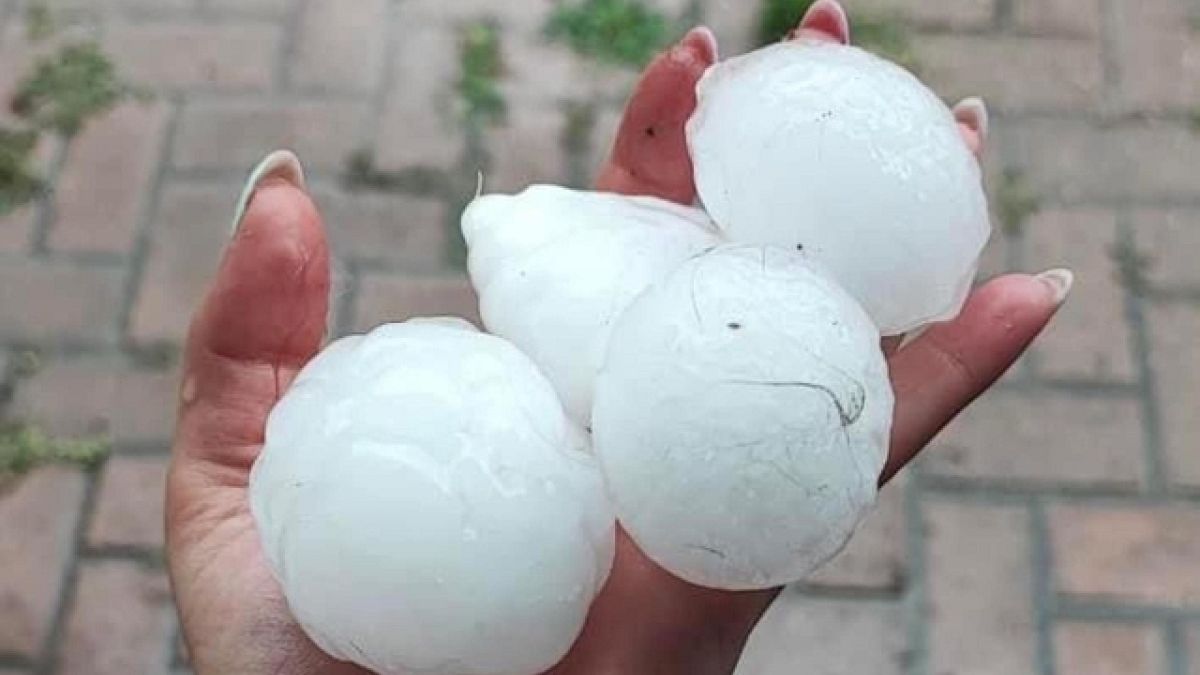 Grandine in Piemonte, la Regione chiede lo stato di calamità | Euronews